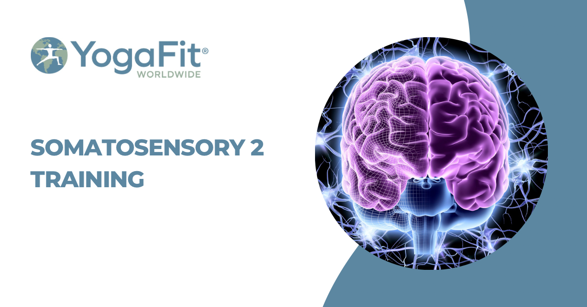 Somatosensory Yoga 2 Course for Body Wisdom | YogaFit
